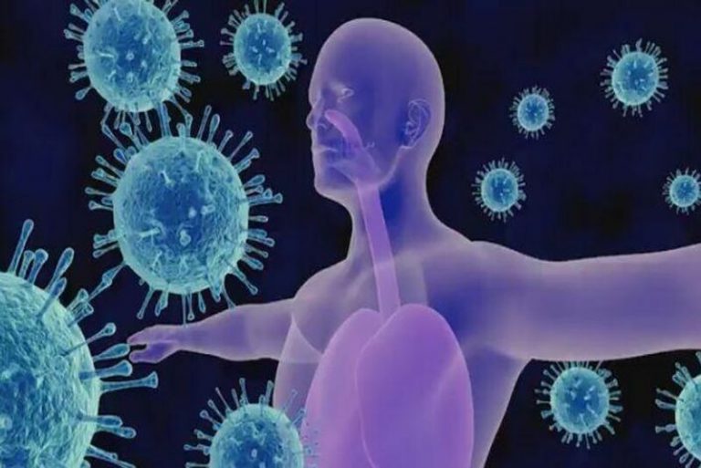 Hệ miễn dịch cơ thể là gì? Hệ miễn dịch của cơ thể hoạt động thế nào?